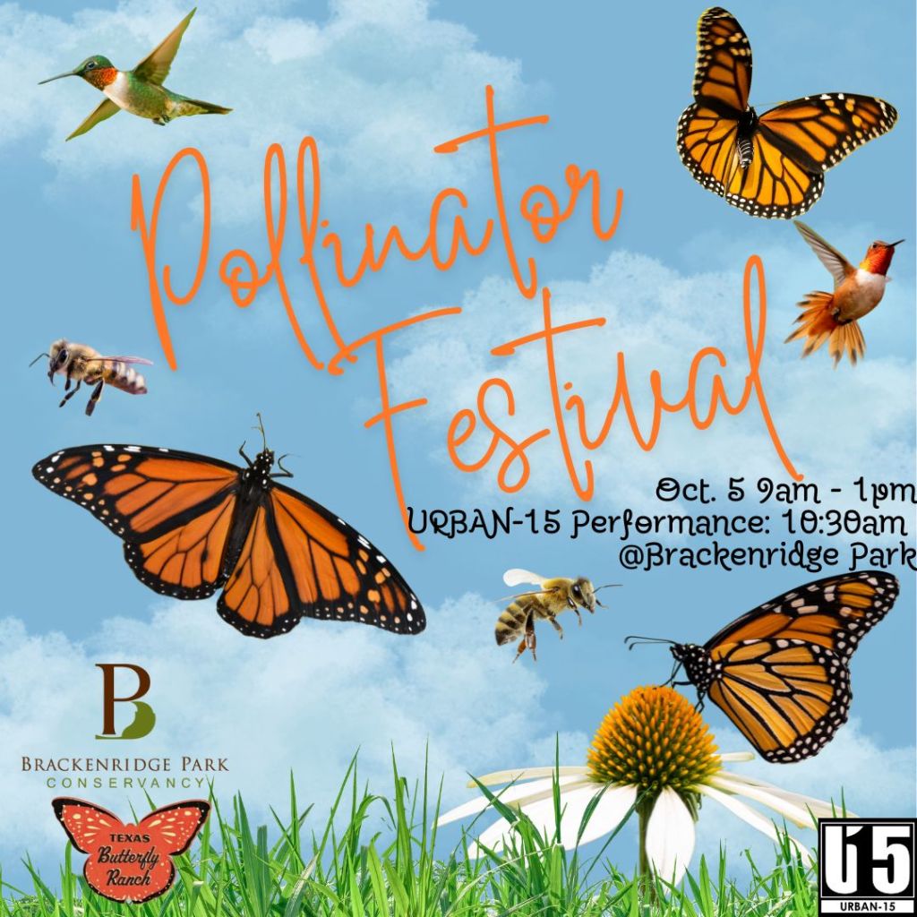 Pollinator Festival 2024 | URBAN-15